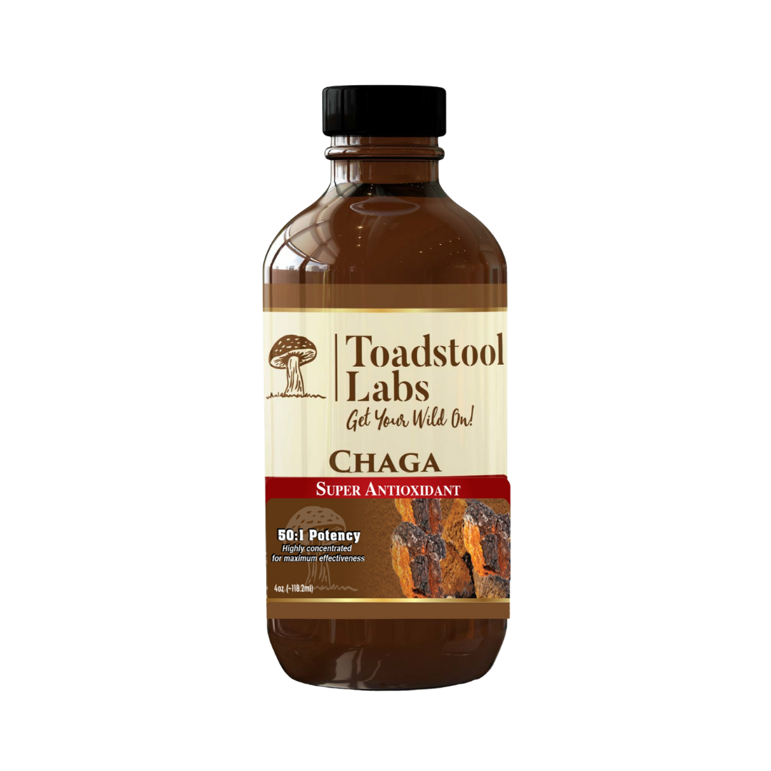 Chaga Mushroom Supplement - Super Antioxidant - Toadstool Labs – Toadstoollabs