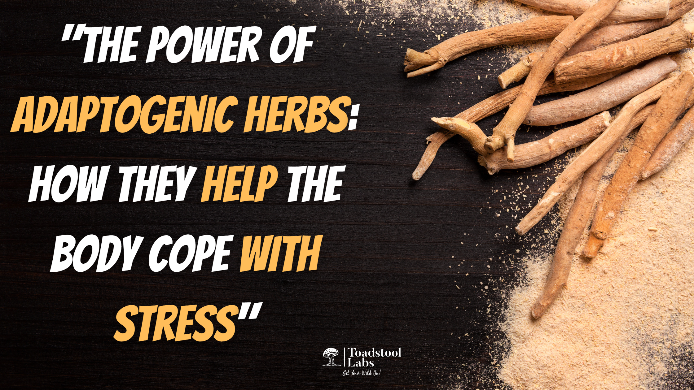 "The Power of Adaptogenic Herbs: How They Help the Body Cope with Stre ...
