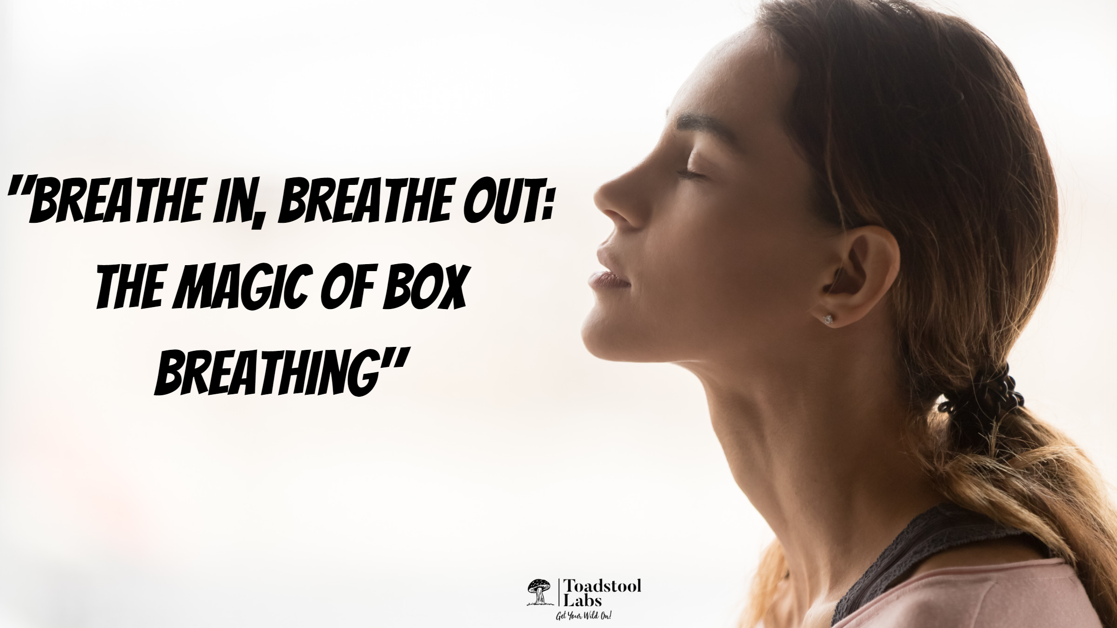 "Breathe in, Breathe out: The Magic of Box Breathing" – Toadstoollabs
