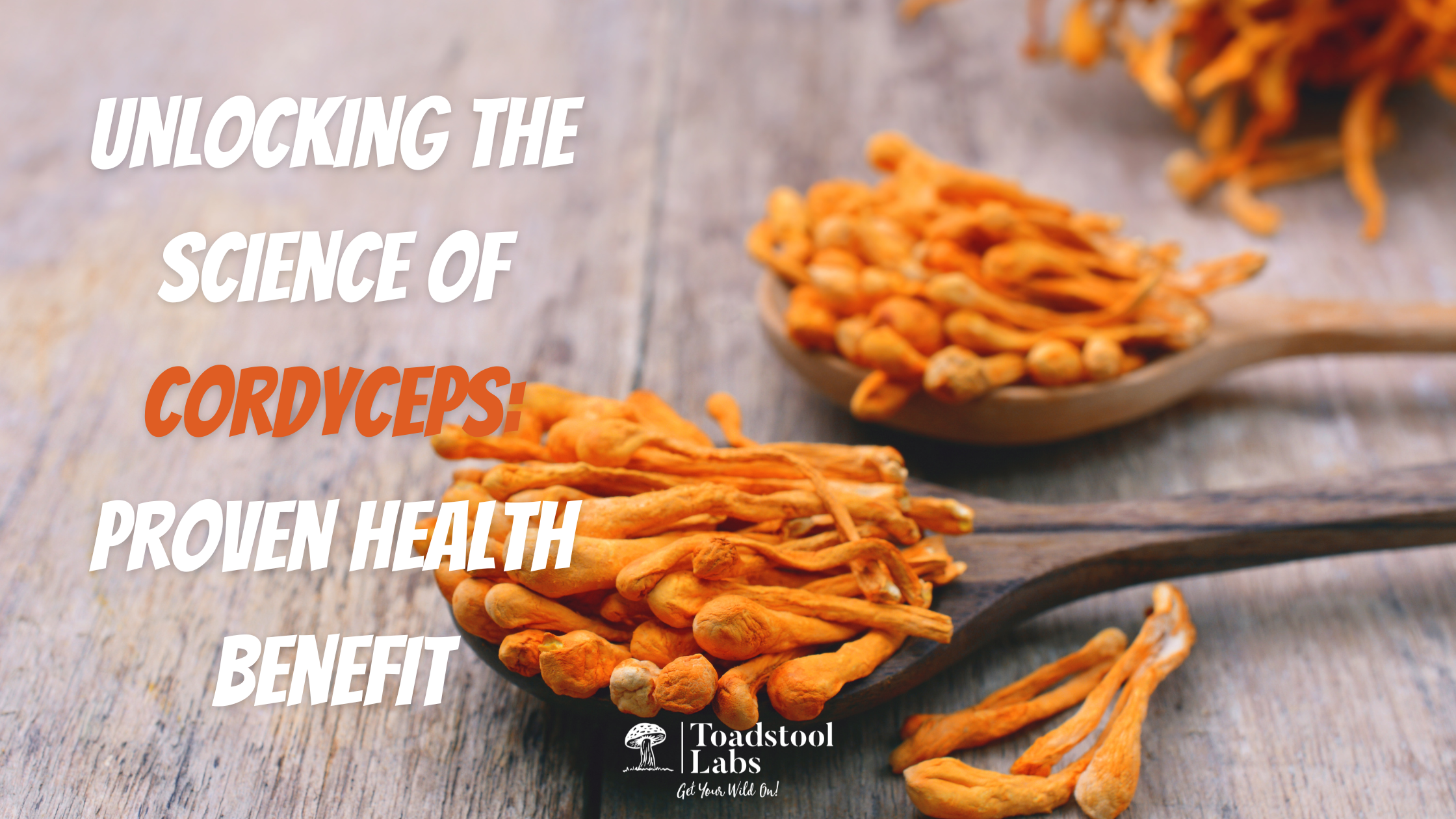 Unlocking the Science of Cordyceps: Proven Health Benefit – Toadstoollabs